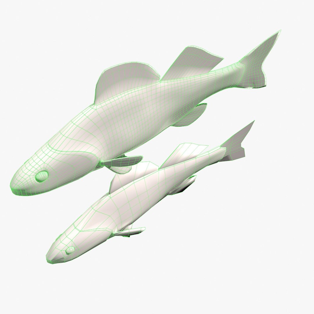 3D River Fish Bersh Model - TurboSquid 1260661