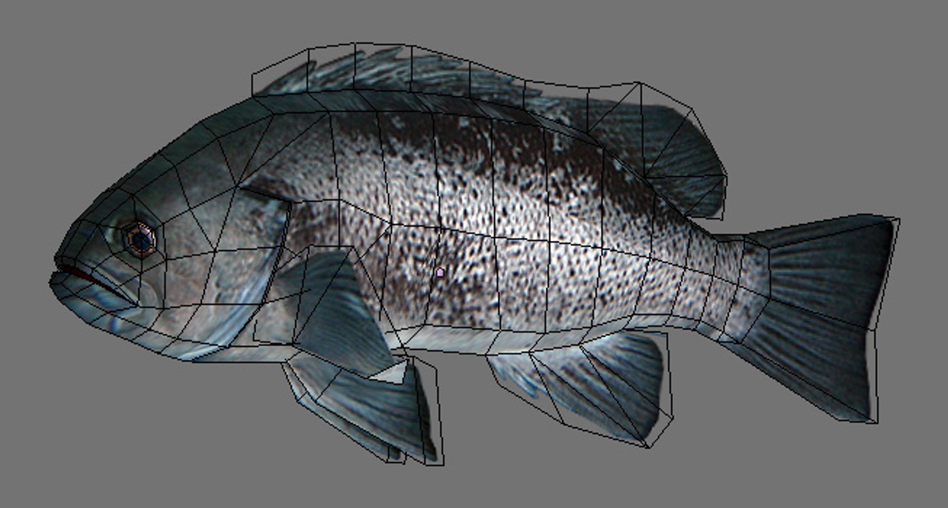 Fish Games 3d Model