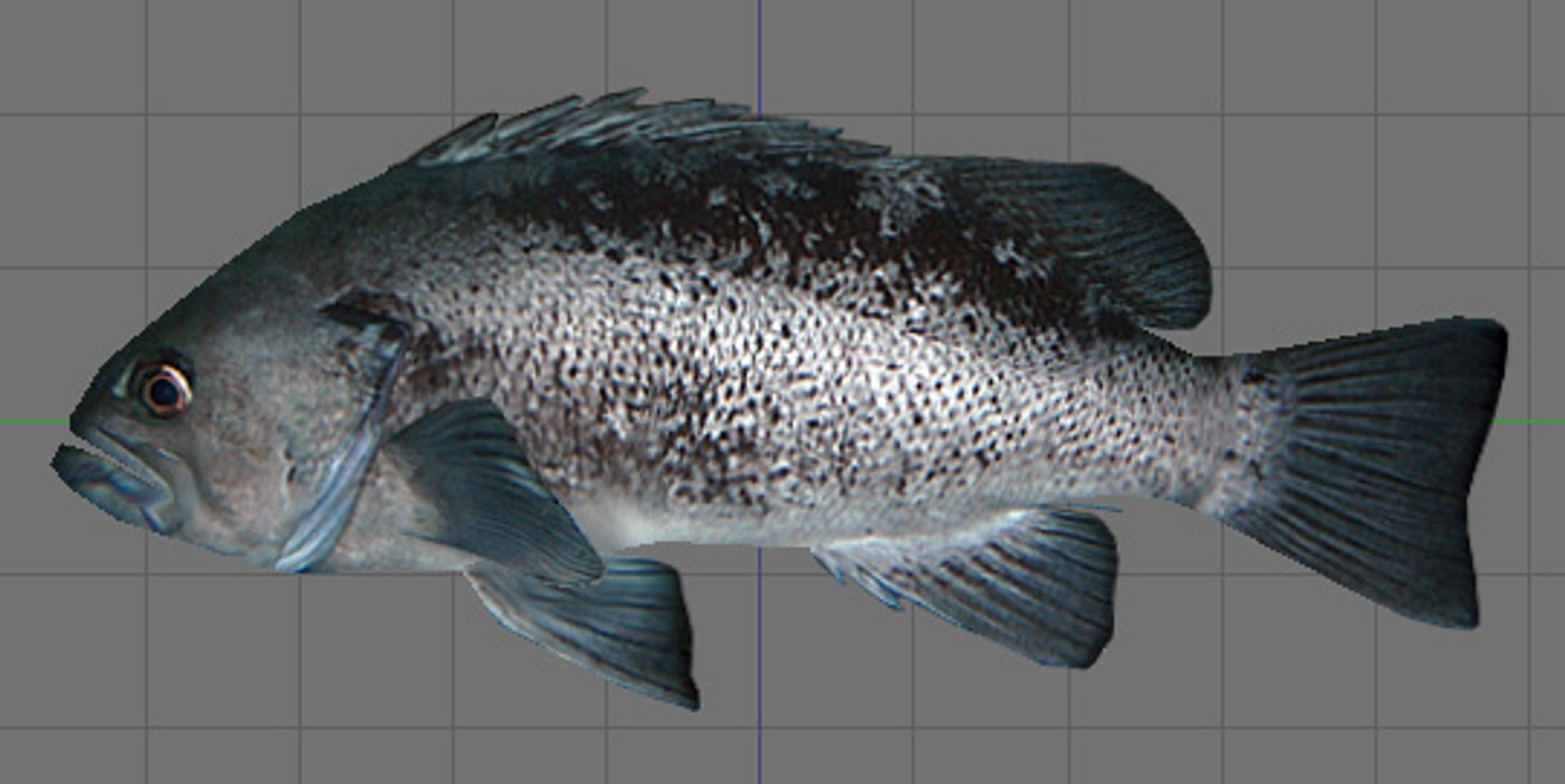 Fish Games 3d Model