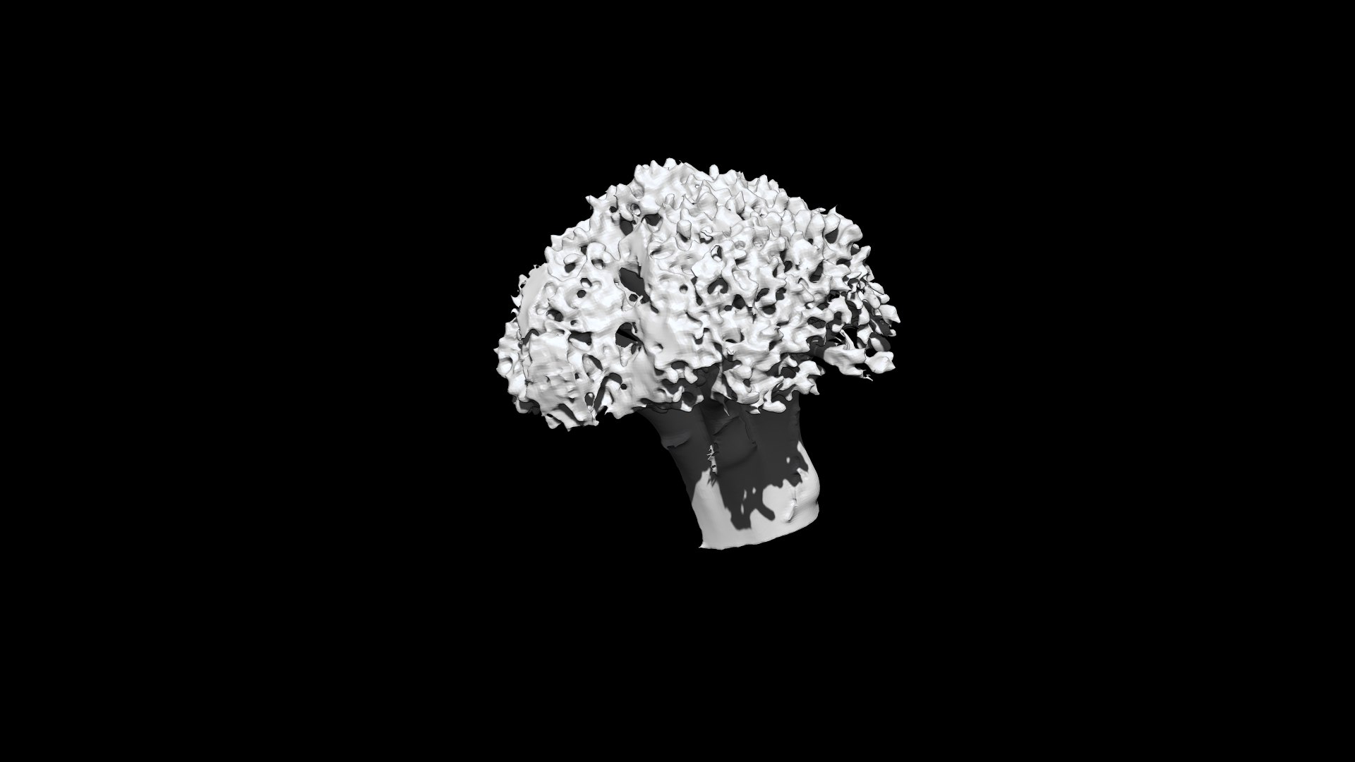 Broccoli Cut 3D CT Scan Model 4 3D Model - TurboSquid 1886445