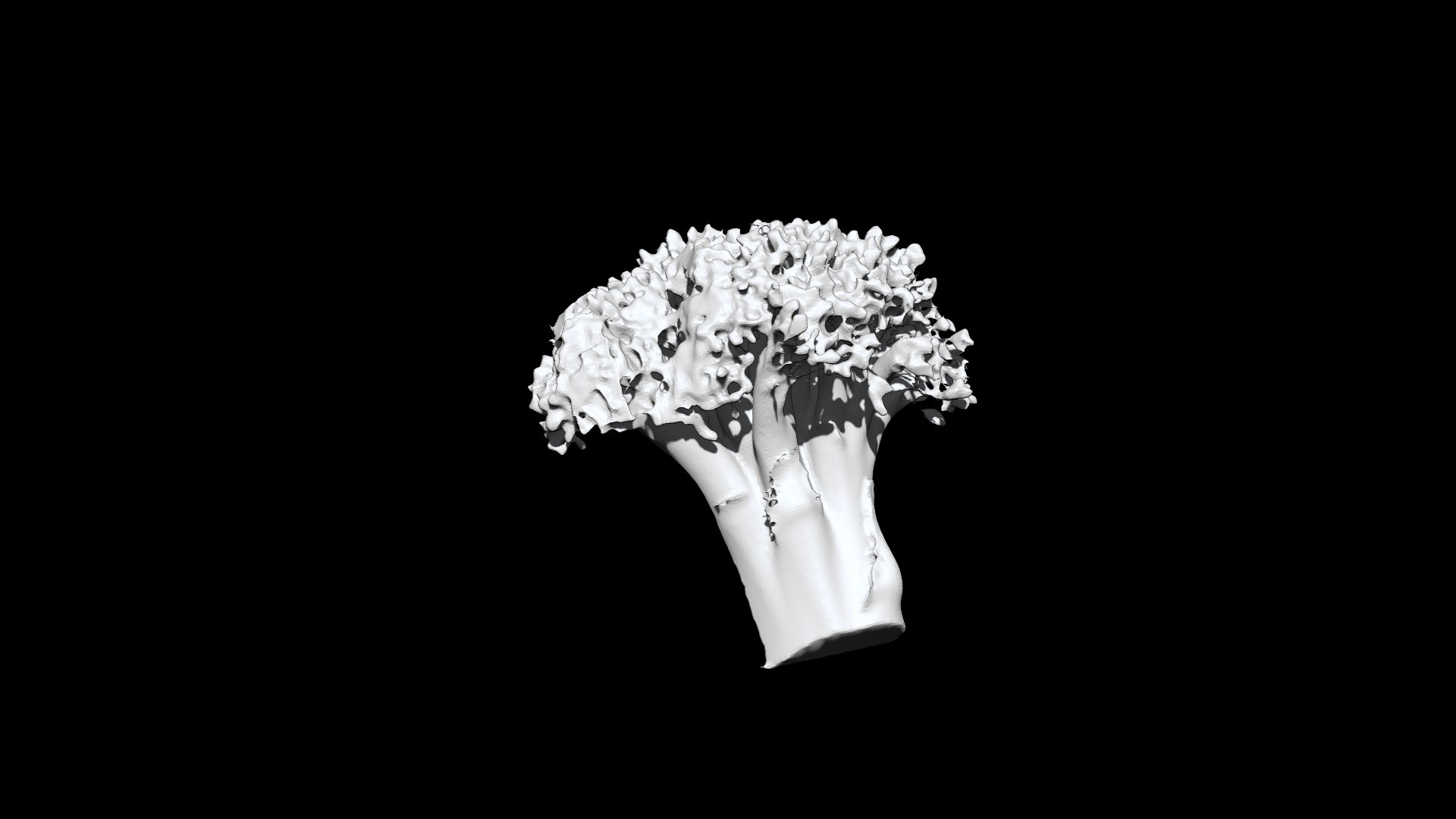 Broccoli Cut 3D CT Scan Model 4 3D Model - TurboSquid 1886445