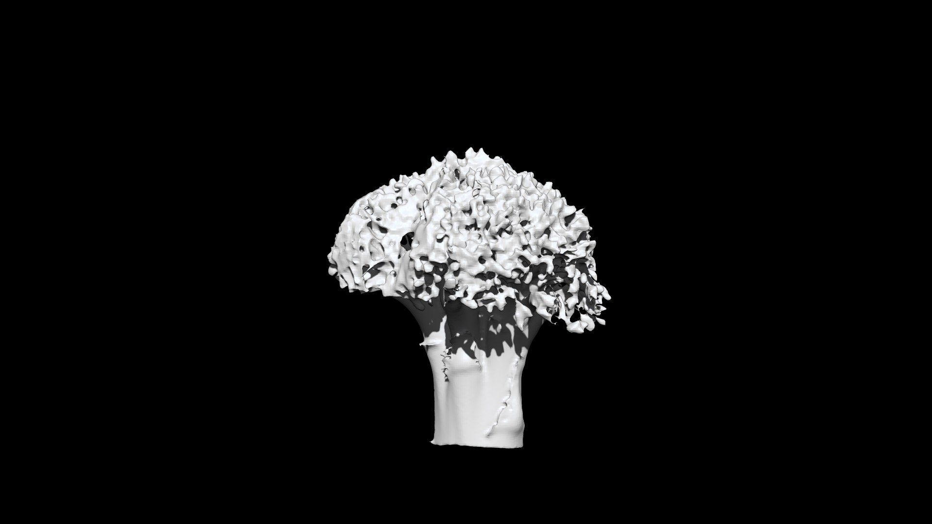 Broccoli Cut 3D CT Scan Model 4 3D Model - TurboSquid 1886445