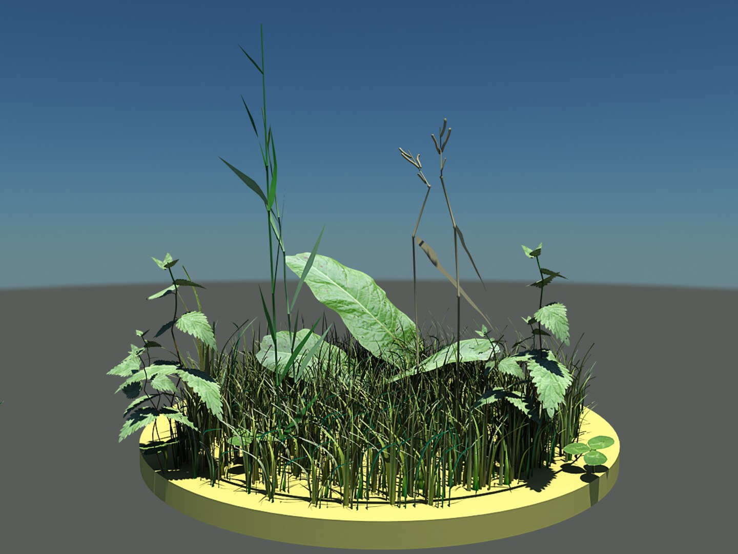 3d Photorealistic Grass