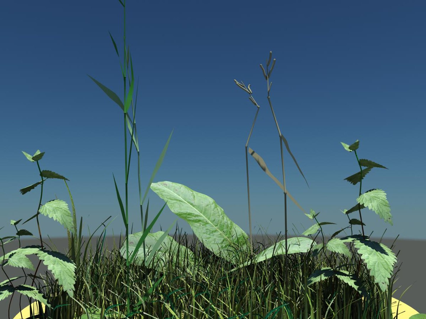 3d Photorealistic Grass