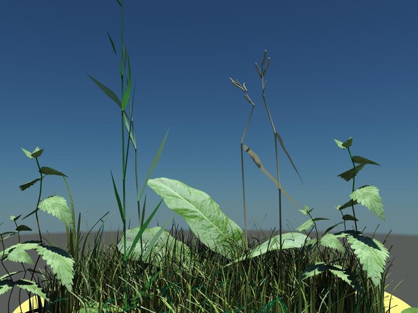 3d photorealistic grass