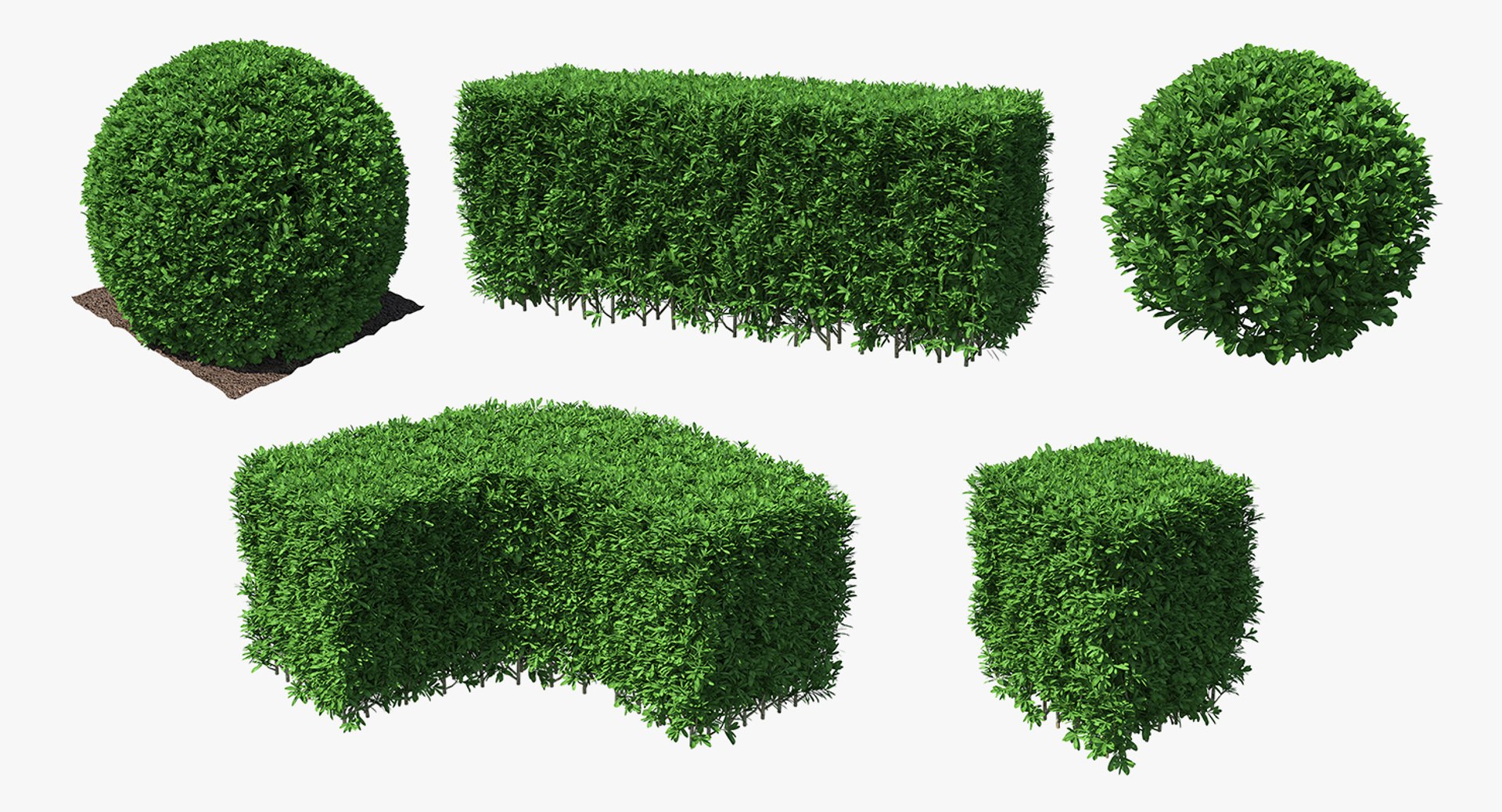 3D decorative shrubs 2 - TurboSquid 1620534