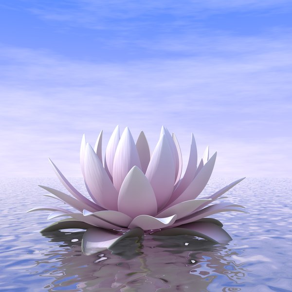 Free 3D Flower Models | TurboSquid