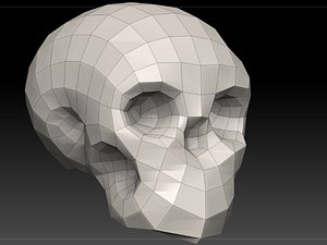 Human skull model - TurboSquid 1280357
