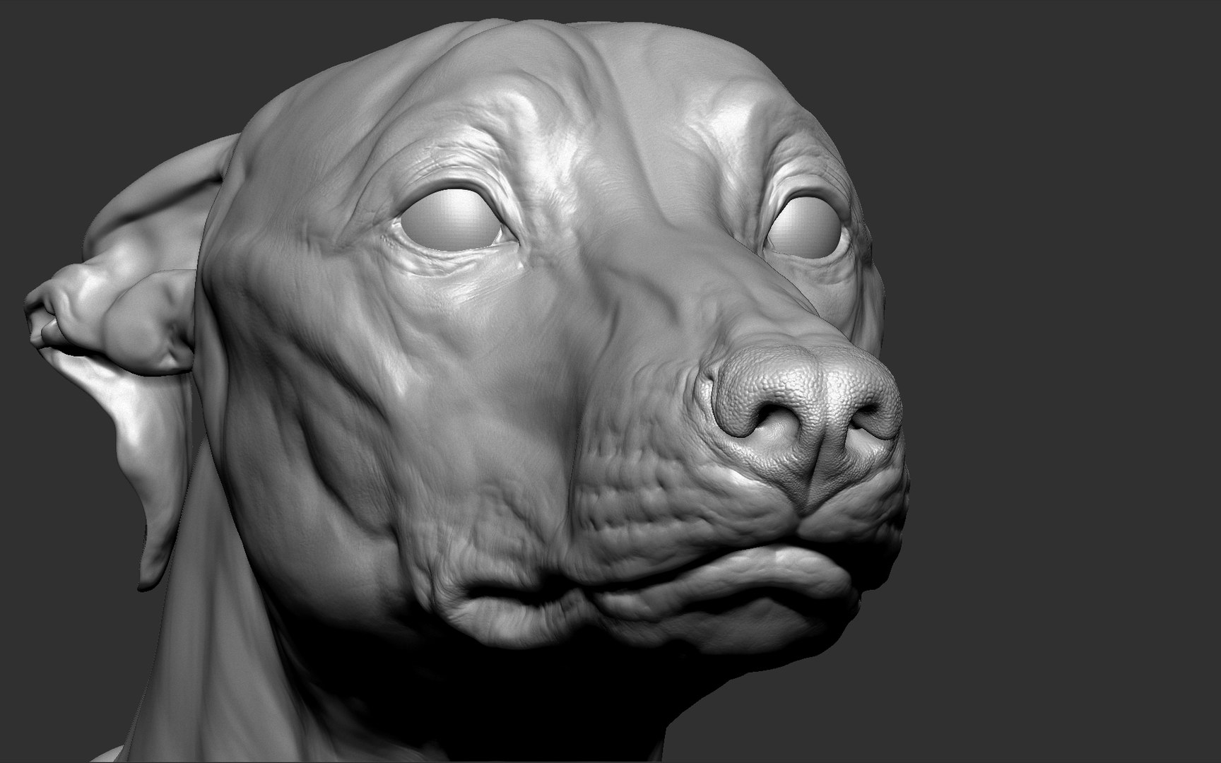 3D greyhound dog vfx zbrush model - TurboSquid 1450126