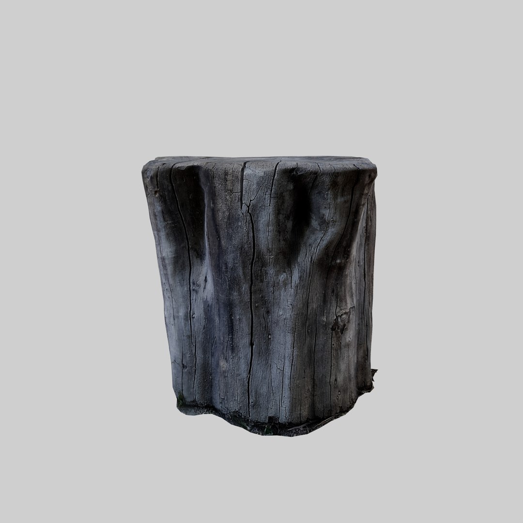 Realistic 3D Tree Trunk 3D Model - TurboSquid 2250777