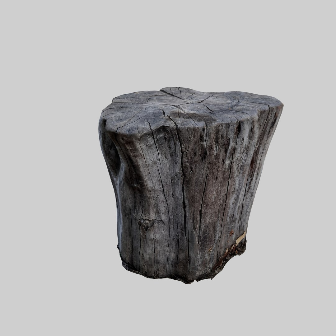 Realistic 3D Tree Trunk 3D Model - TurboSquid 2250777