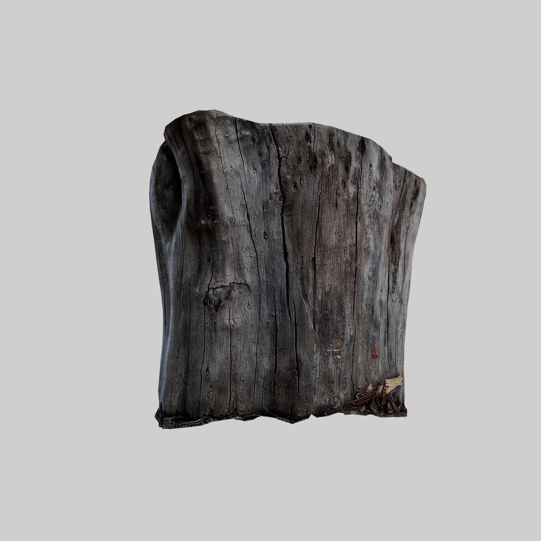 Realistic 3D Tree Trunk 3D Model - TurboSquid 2250777