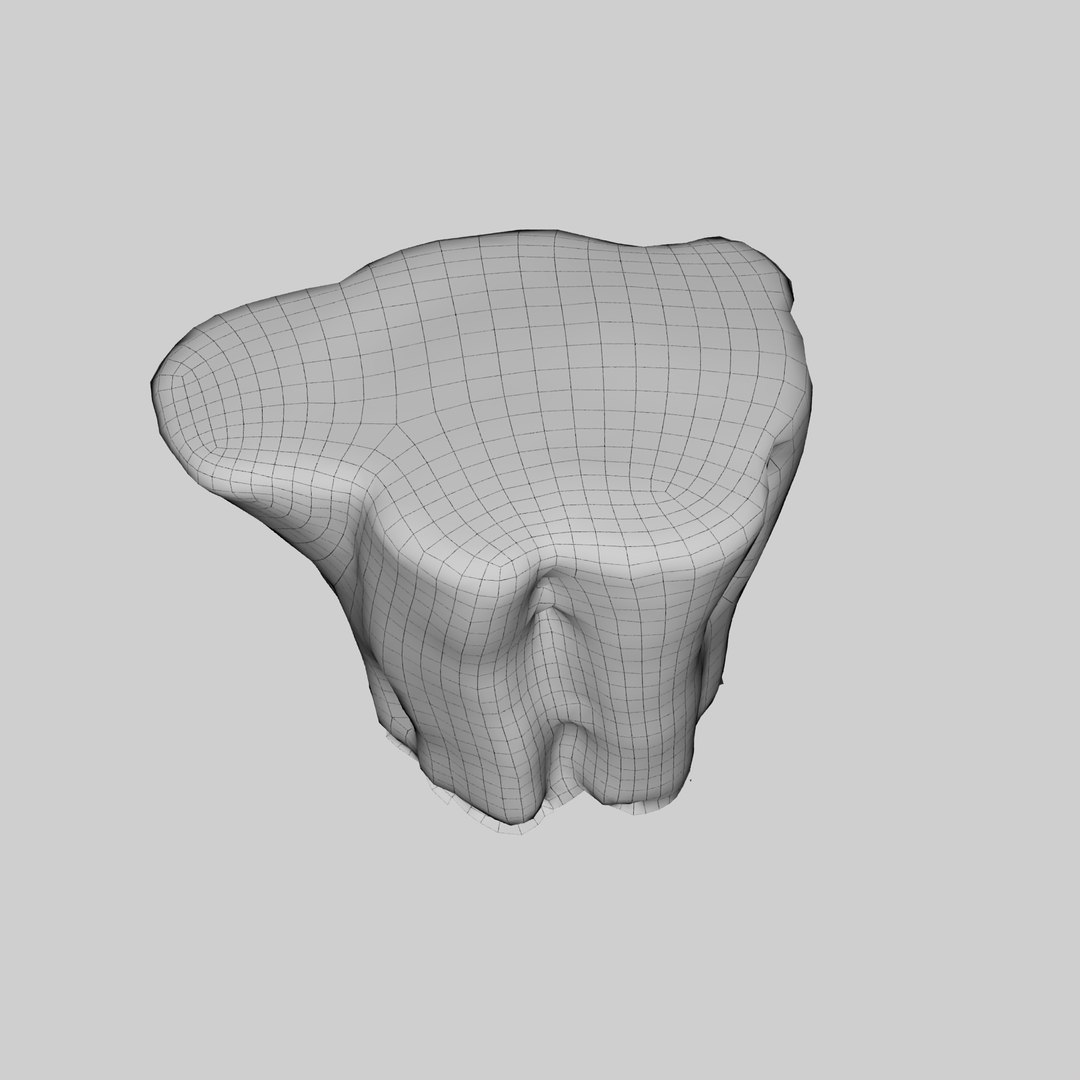 Realistic 3D Tree Trunk 3D Model - TurboSquid 2250777