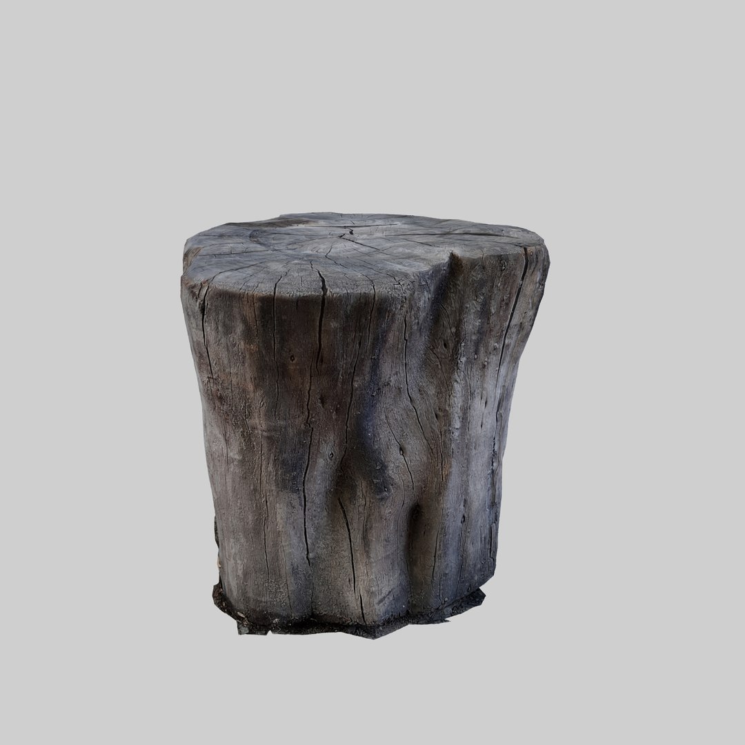 Realistic 3D Tree Trunk 3D Model - TurboSquid 2250777