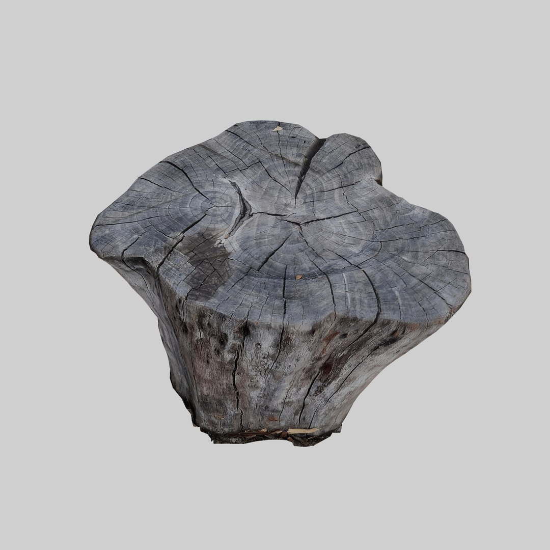 Realistic 3D Tree Trunk 3D Model - TurboSquid 2250777