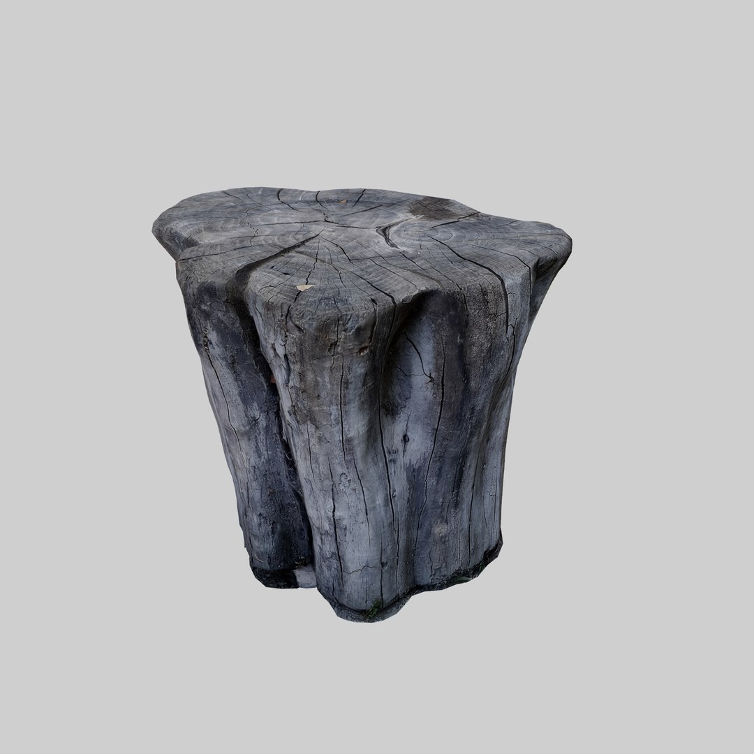 Realistic 3D Tree Trunk 3D Model - TurboSquid 2250777