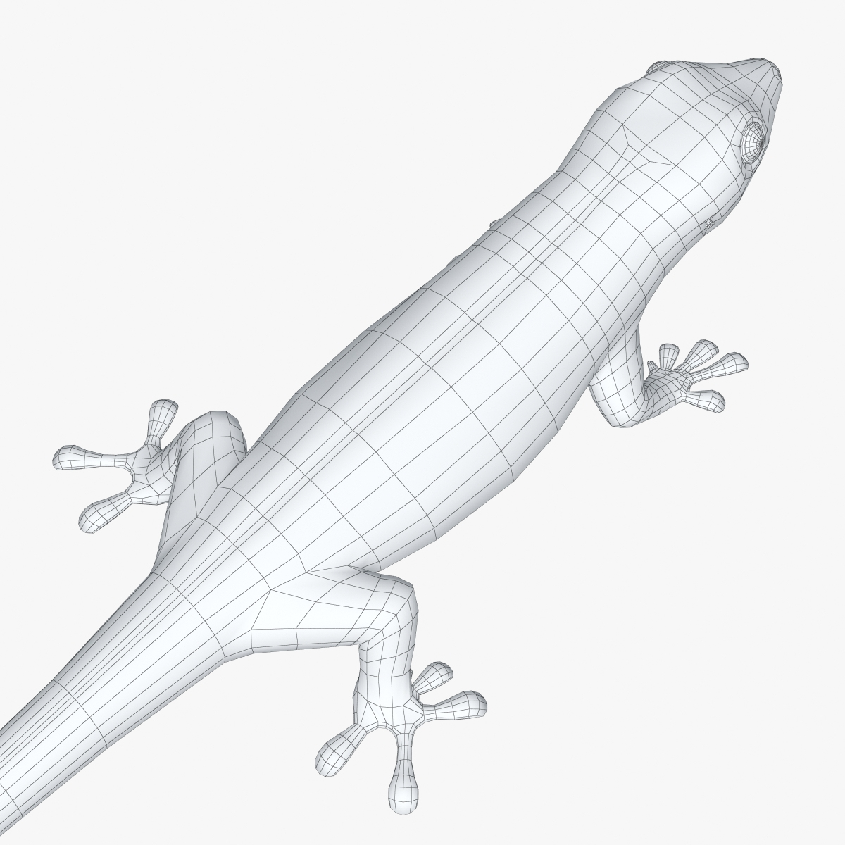 gecko lizard 3d model