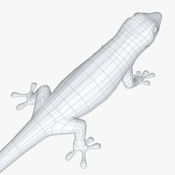 gecko lizard 3d model