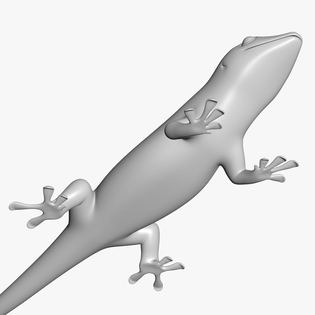 gecko lizard 3d model