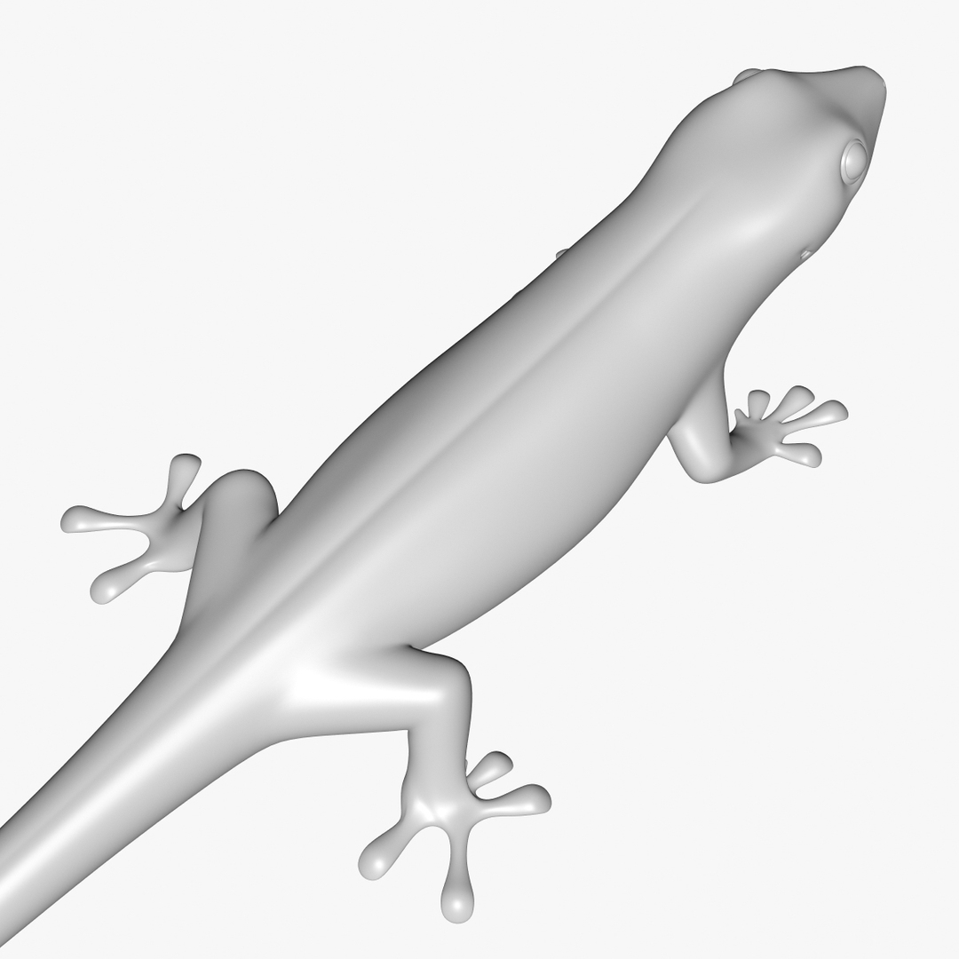 gecko lizard 3d model