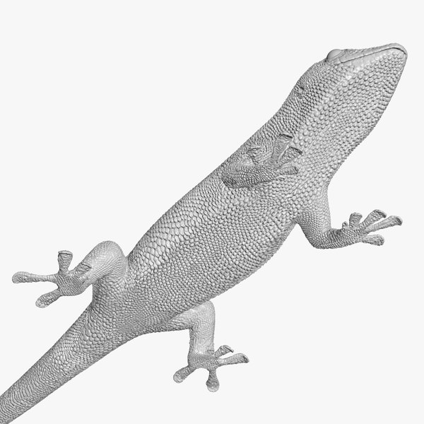 gecko lizard 3d model