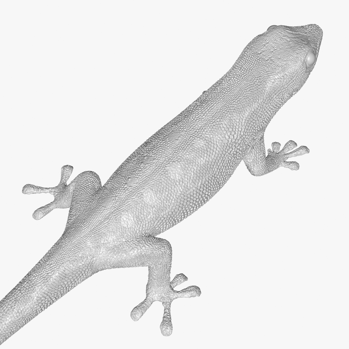gecko lizard 3d model