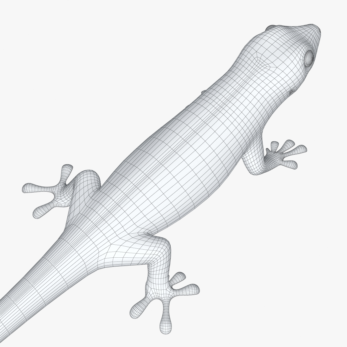 gecko lizard 3d model