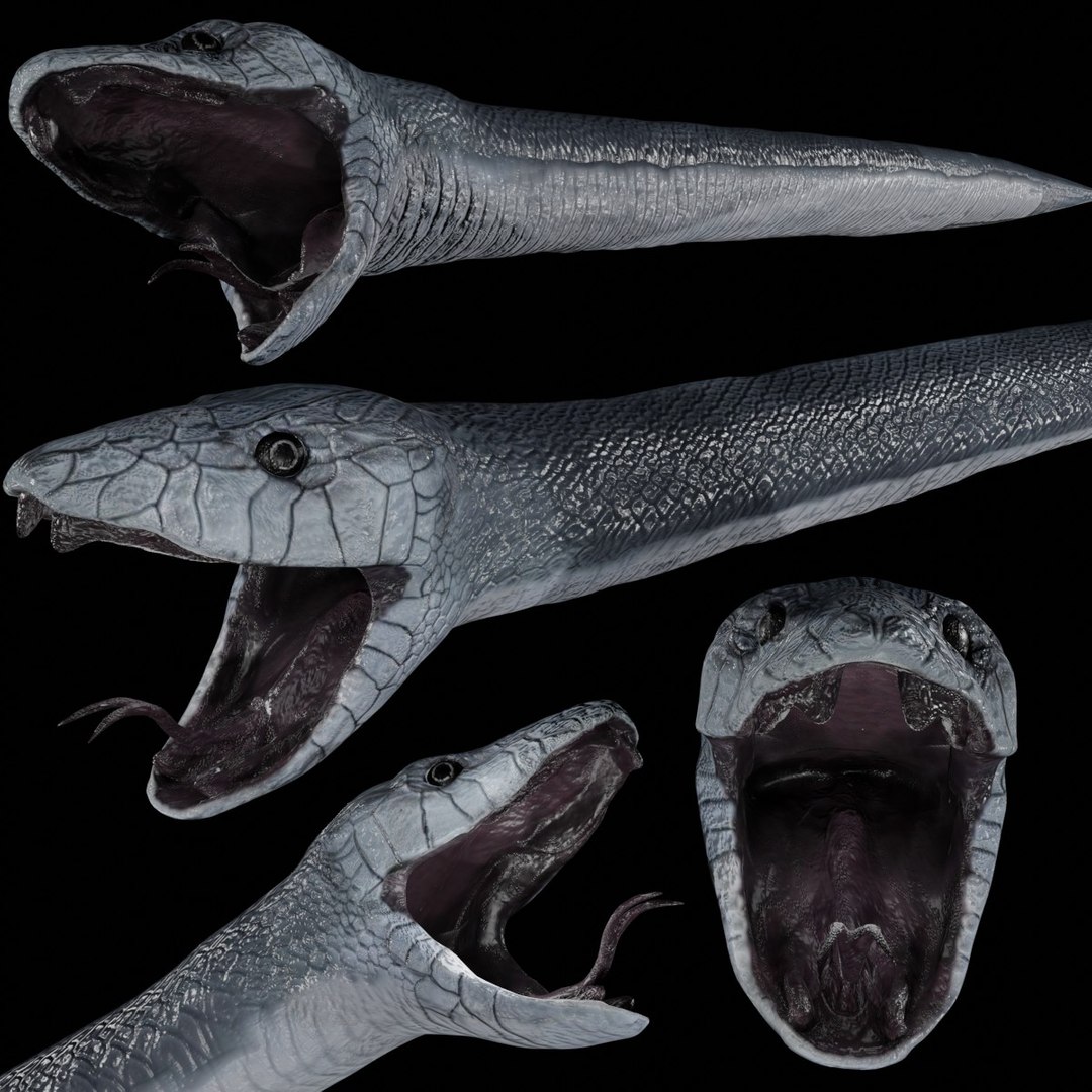Black Mamba Snake 3D - TurboSquid 1672843