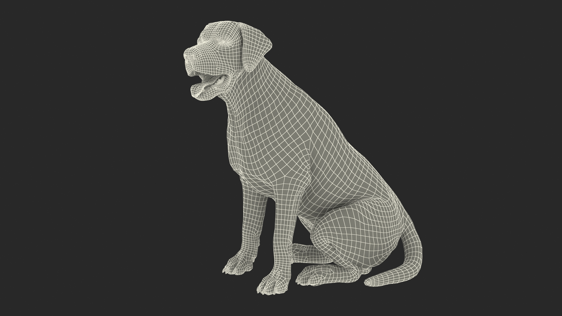 3D Labrador Dog Black Sitting - TurboSquid 1823716