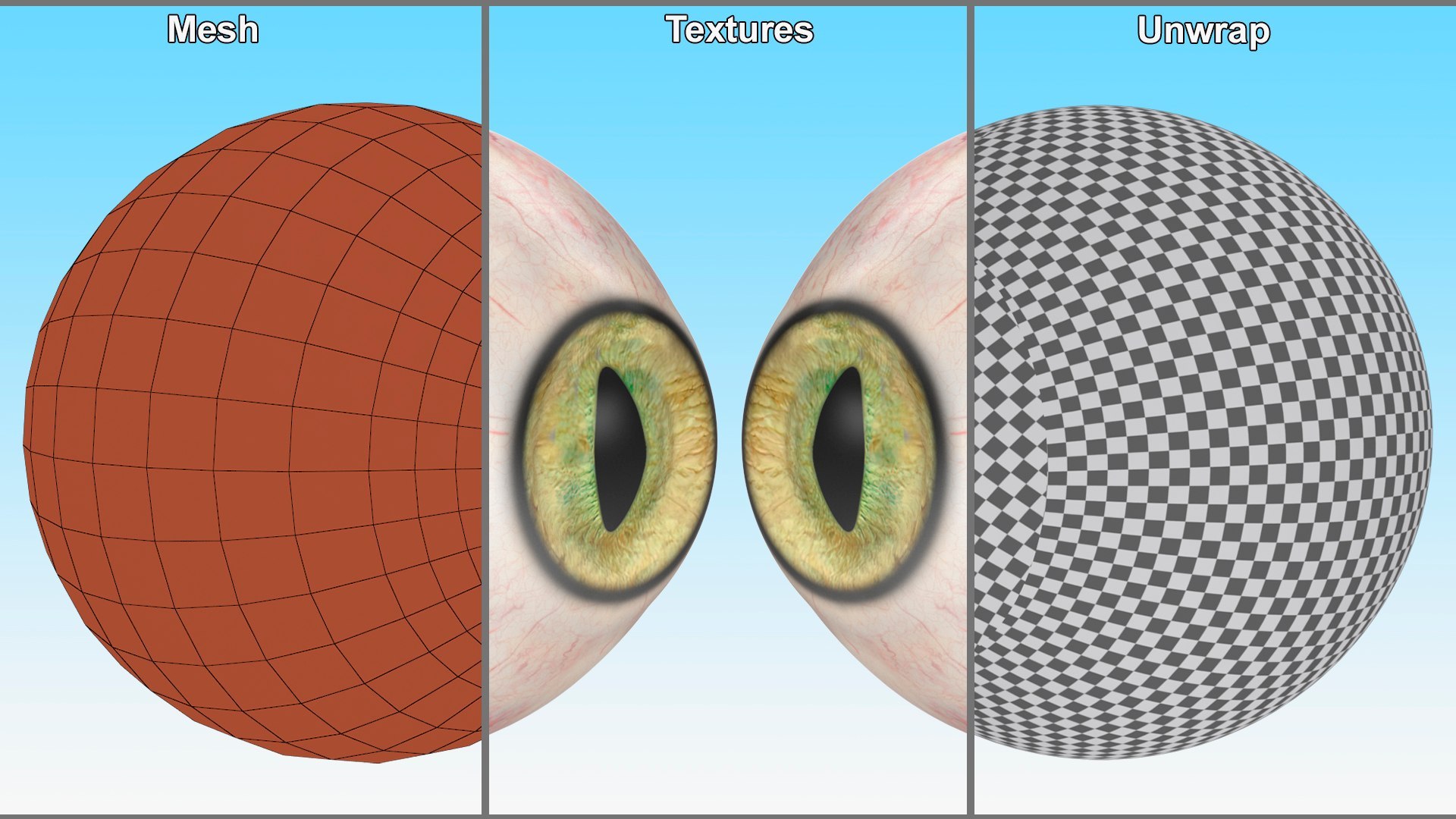 3D Realistic Animal Eyes Collection 3 Model - TurboSquid 2207615