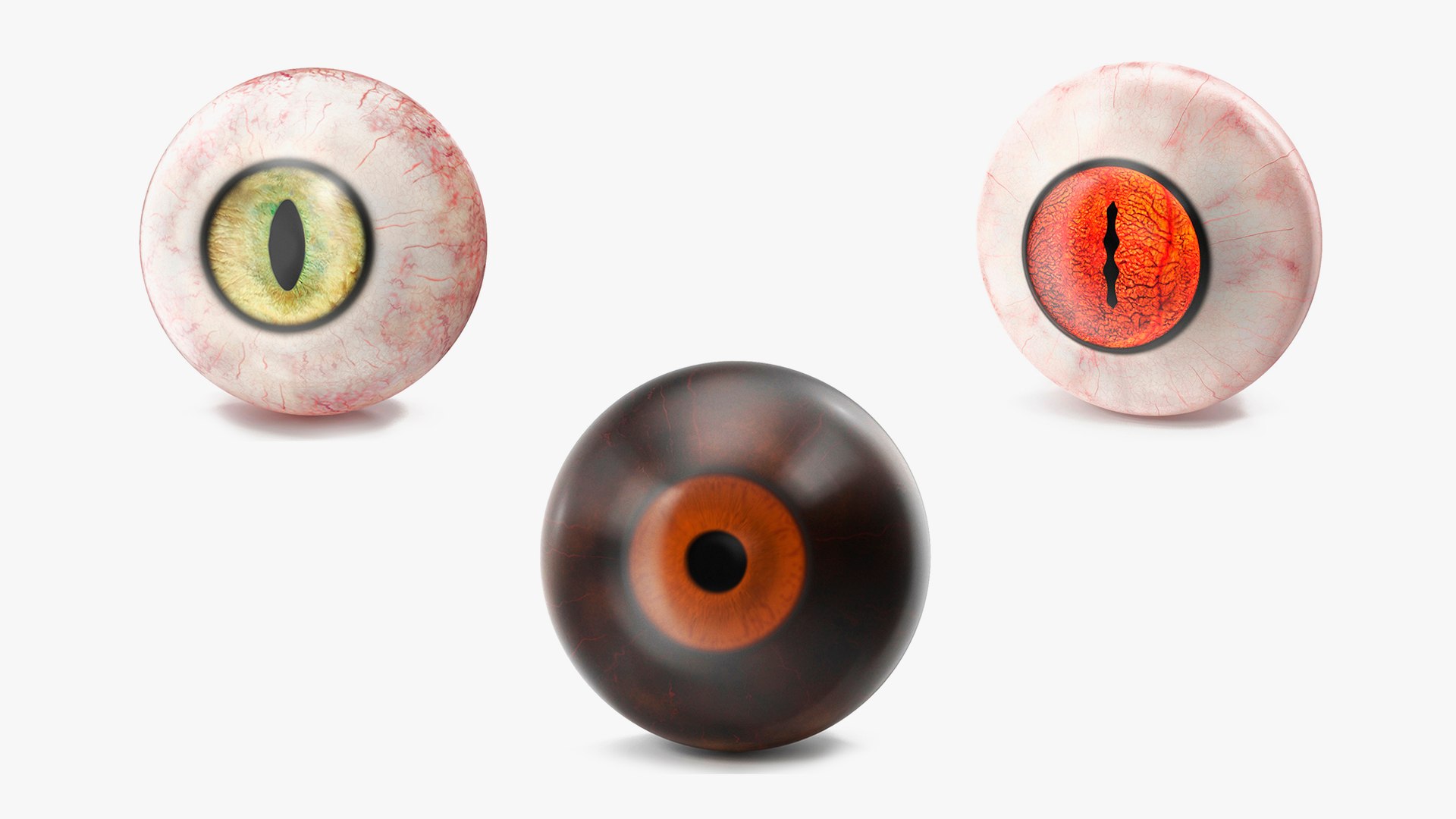 3D Realistic Animal Eyes Collection 3 Model - TurboSquid 2207615