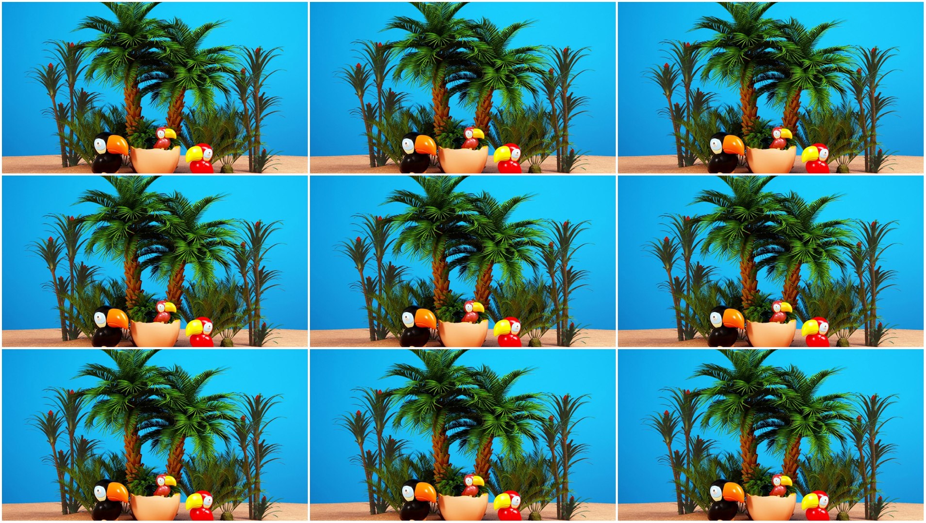 Katong Bird Parrot Woodpecker Coconut Tree Hainan Irontree Tropical ...