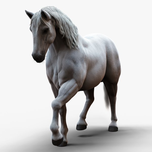 Horse 3D Models for Download | TurboSquid