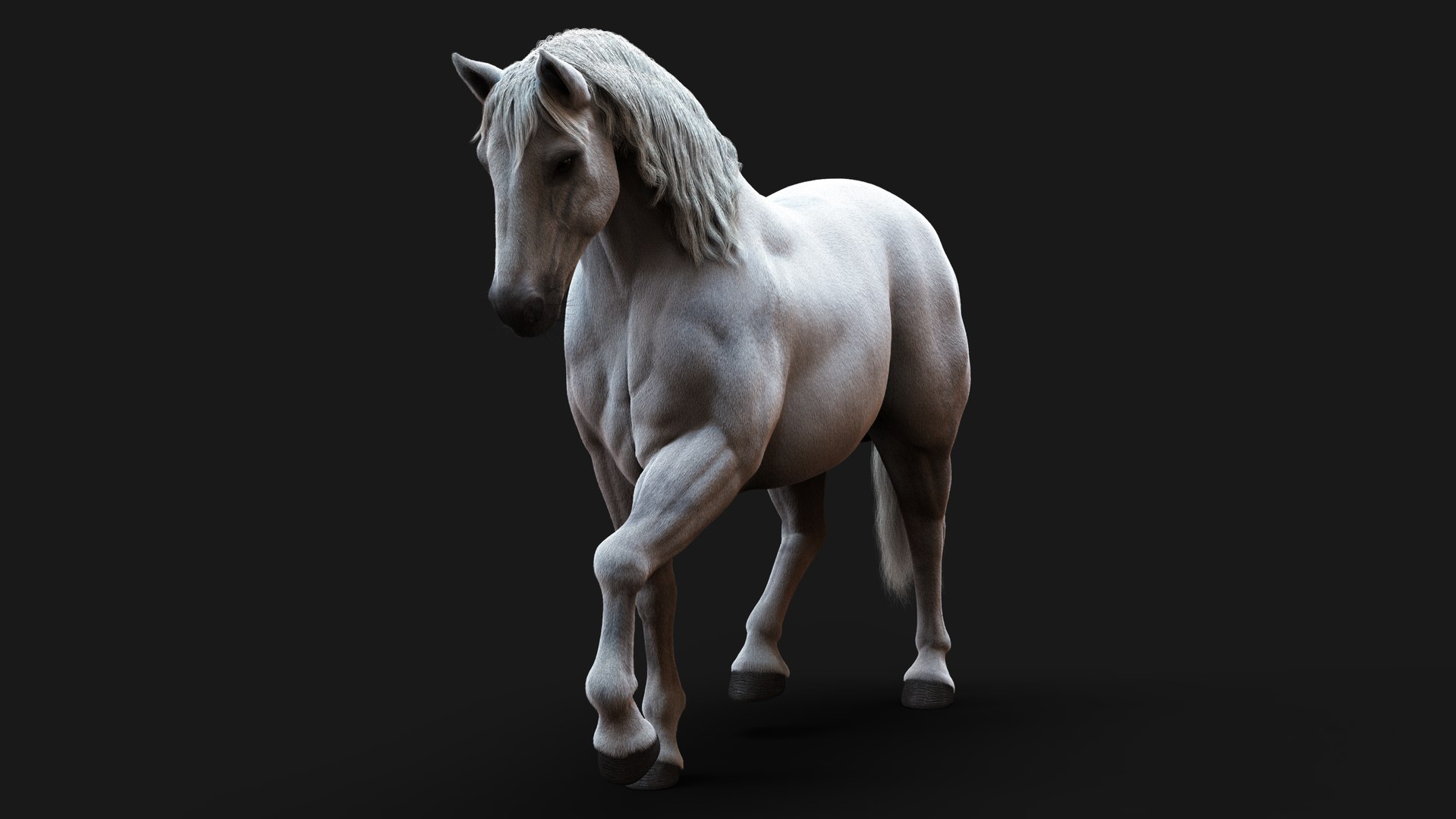 Horse White RIG XGEN 3D Model - TurboSquid 2164146