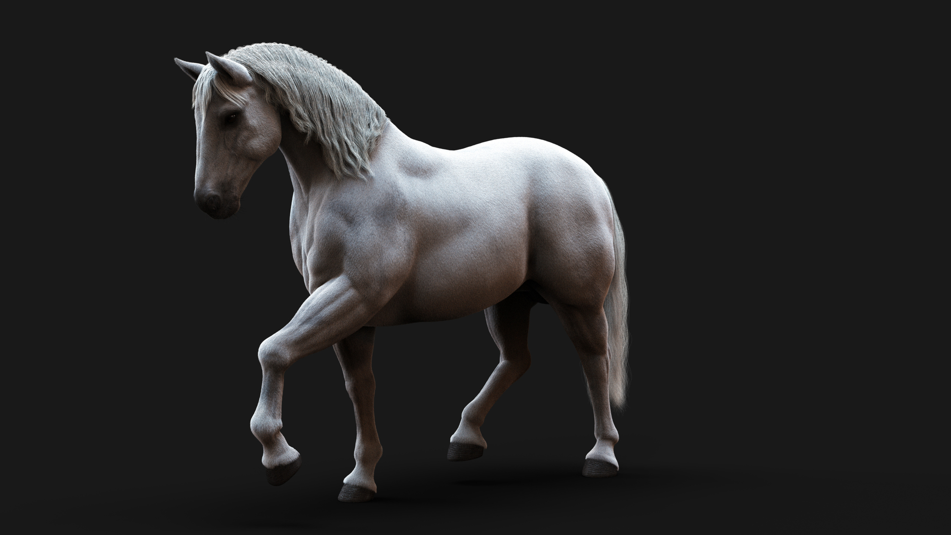 Horse White RIG XGEN 3D Model - TurboSquid 2164146