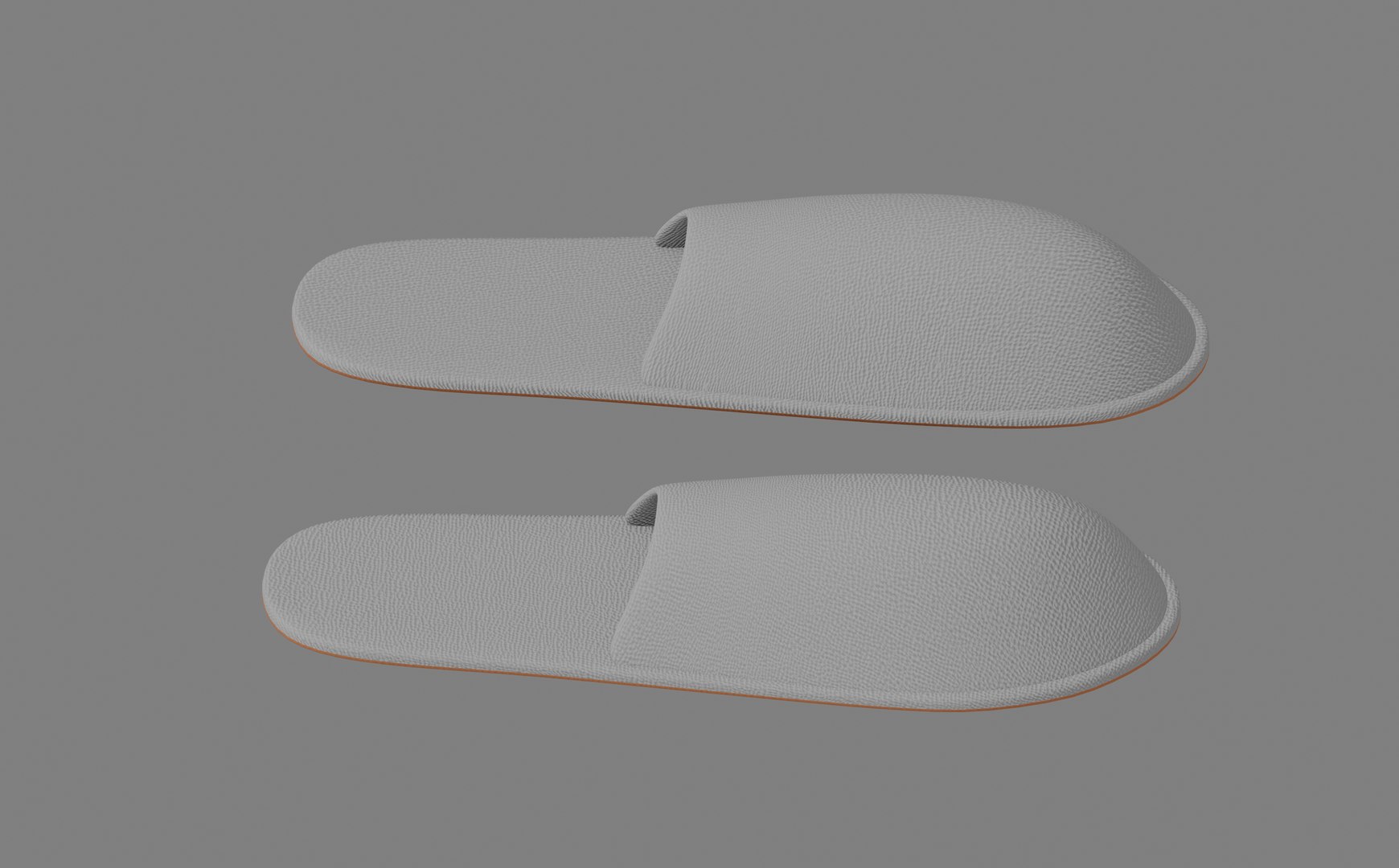 Slippers 3D model - TurboSquid 2131700