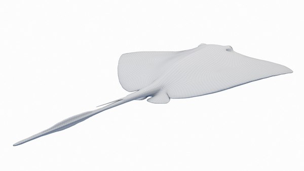 modelo 3d Mantarraya animada - TurboSquid 2149714