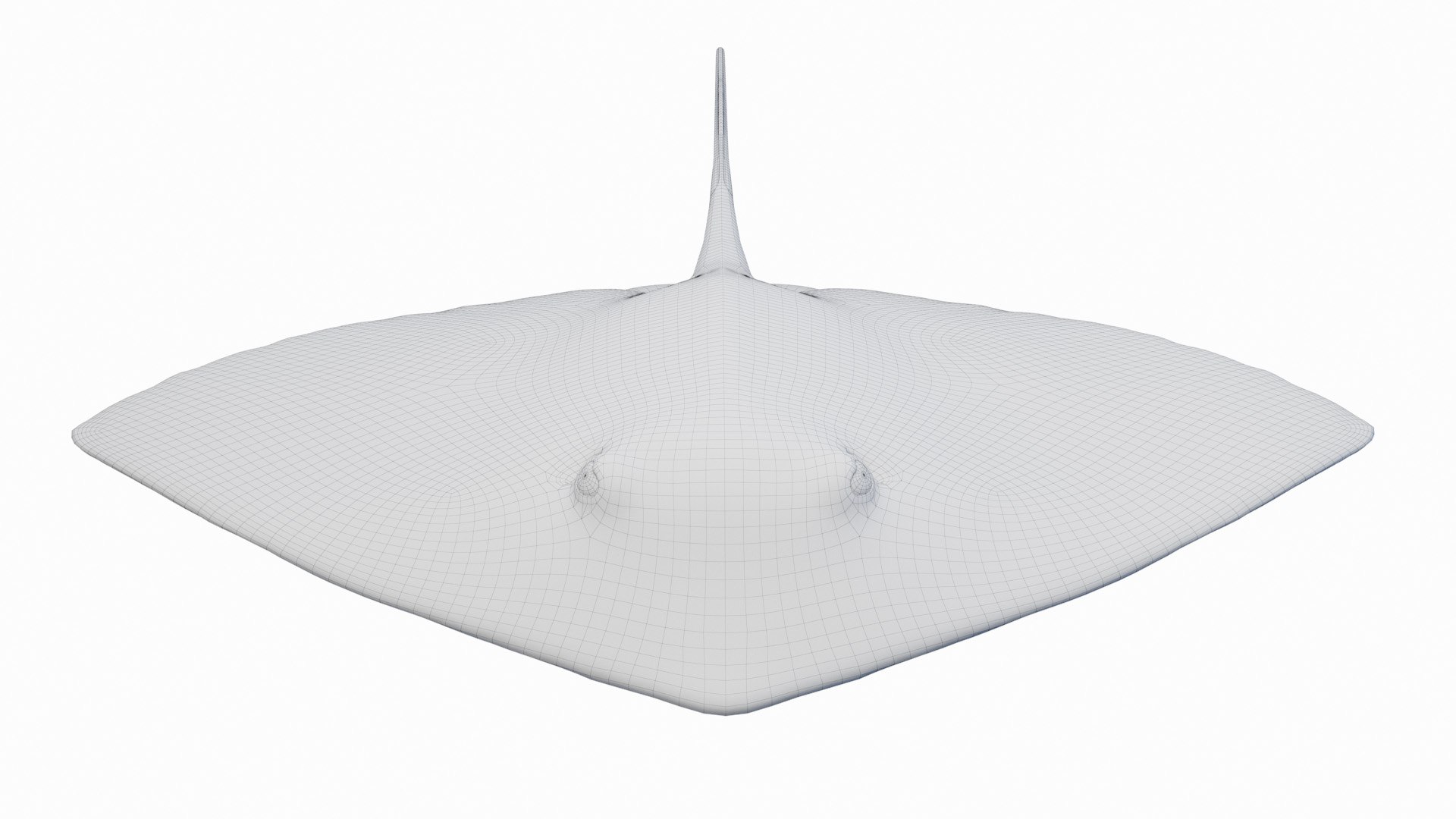 3D Model Stingray Animated - TurboSquid 2149714
