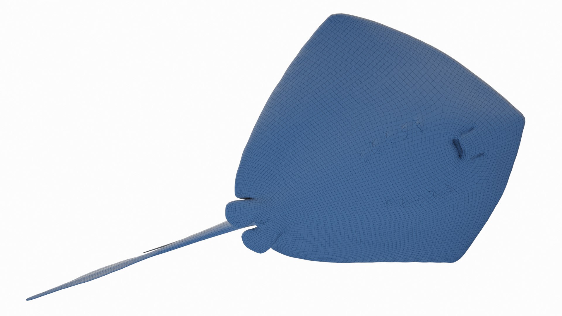 3D Model Stingray Animated - TurboSquid 2149714