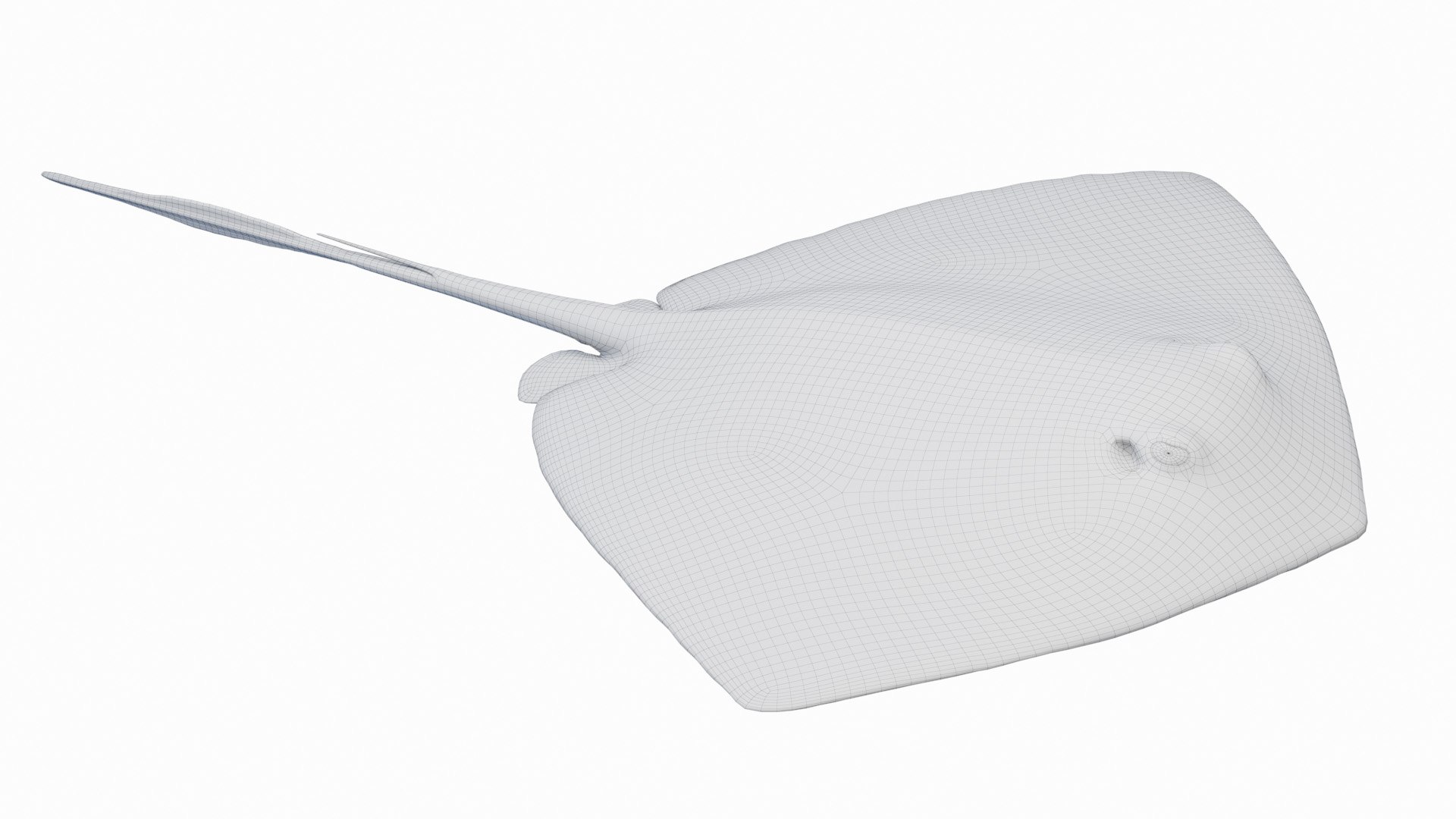 3D model Stingray Animated - TurboSquid 2149714