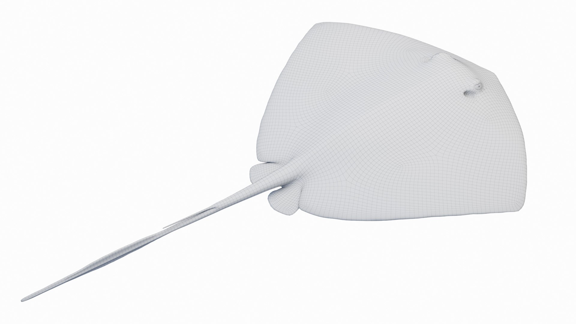 3D Model Stingray Animated - TurboSquid 2149714