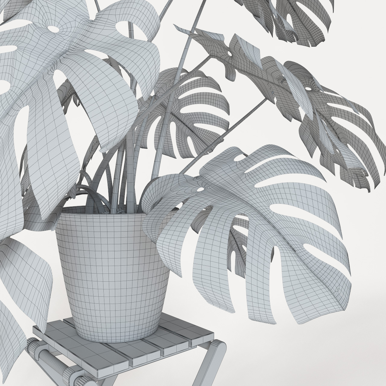 Monstera 3D - TurboSquid 1159128