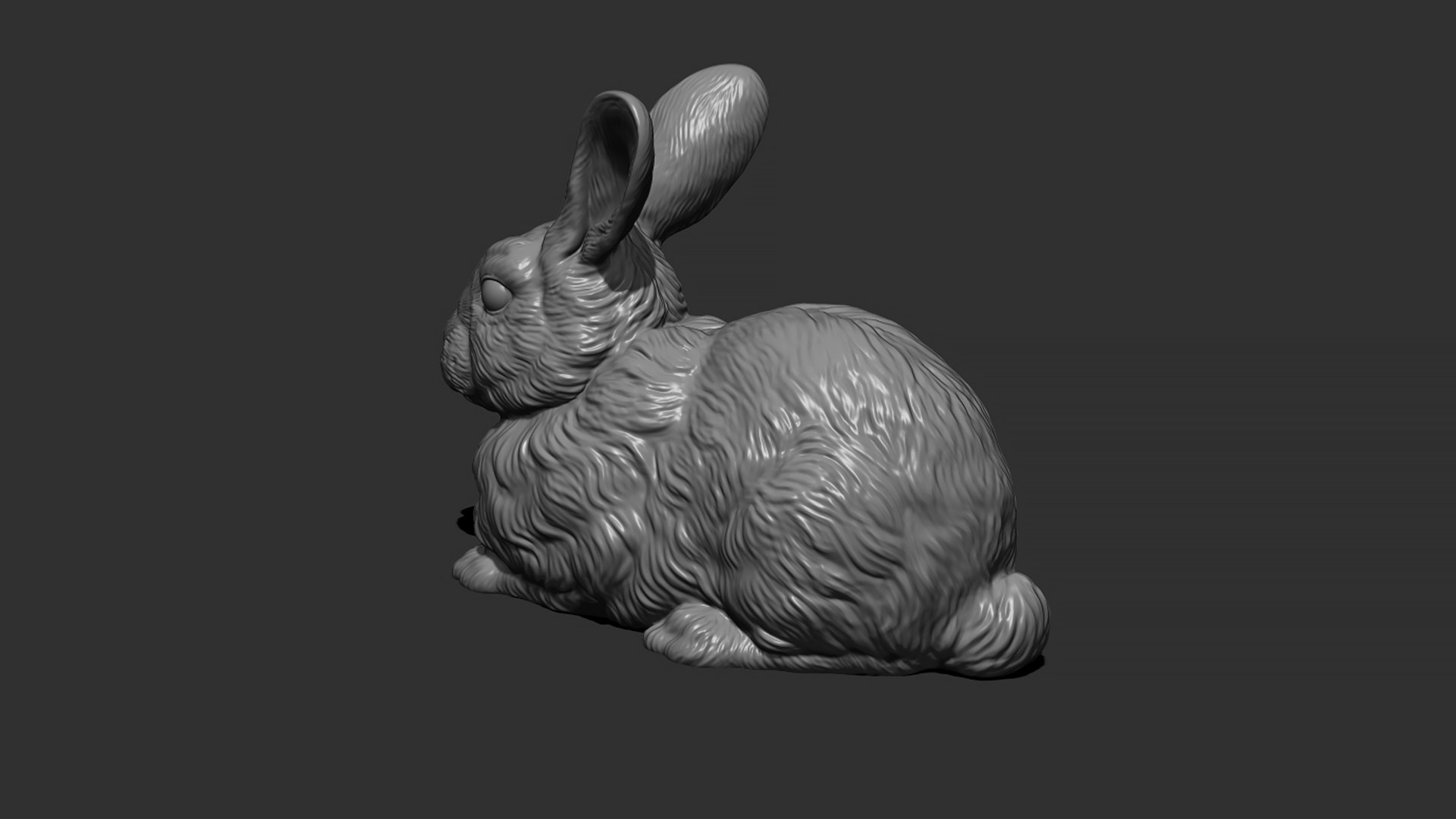 Rabbit Model - TurboSquid 1956305