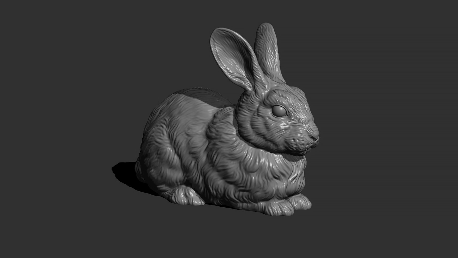 Rabbit Model - TurboSquid 1956305