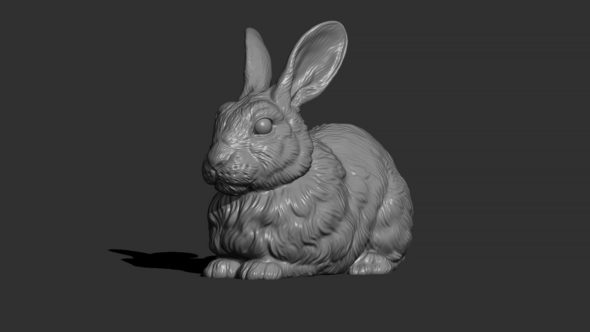 Rabbit Model - TurboSquid 1956305
