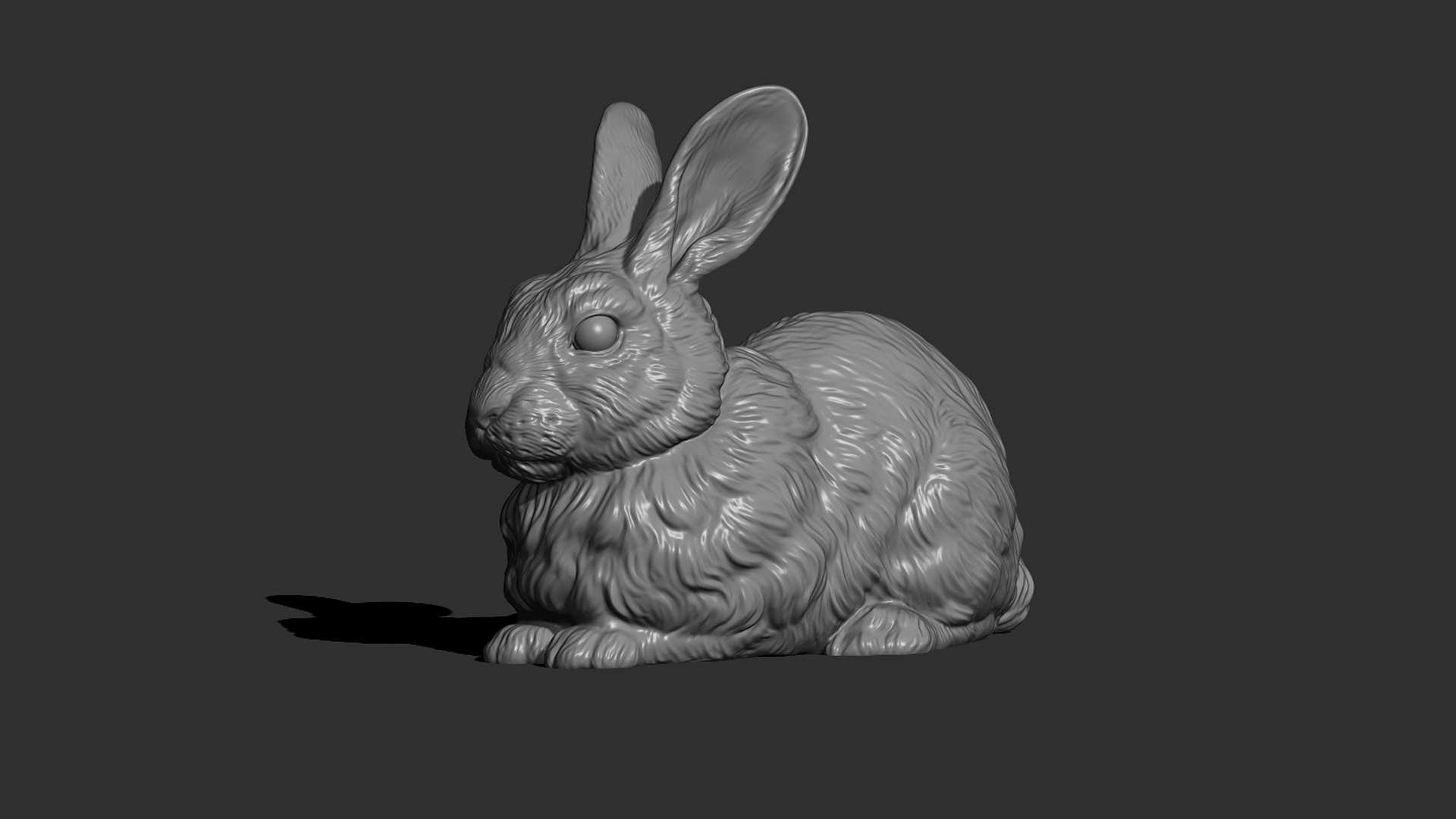 Rabbit Model - TurboSquid 1956305