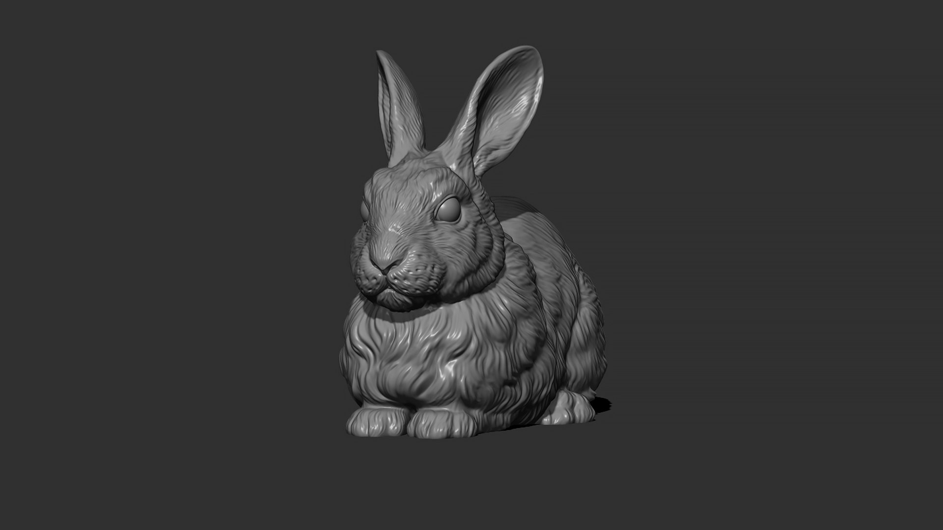 Rabbit Model - TurboSquid 1956305