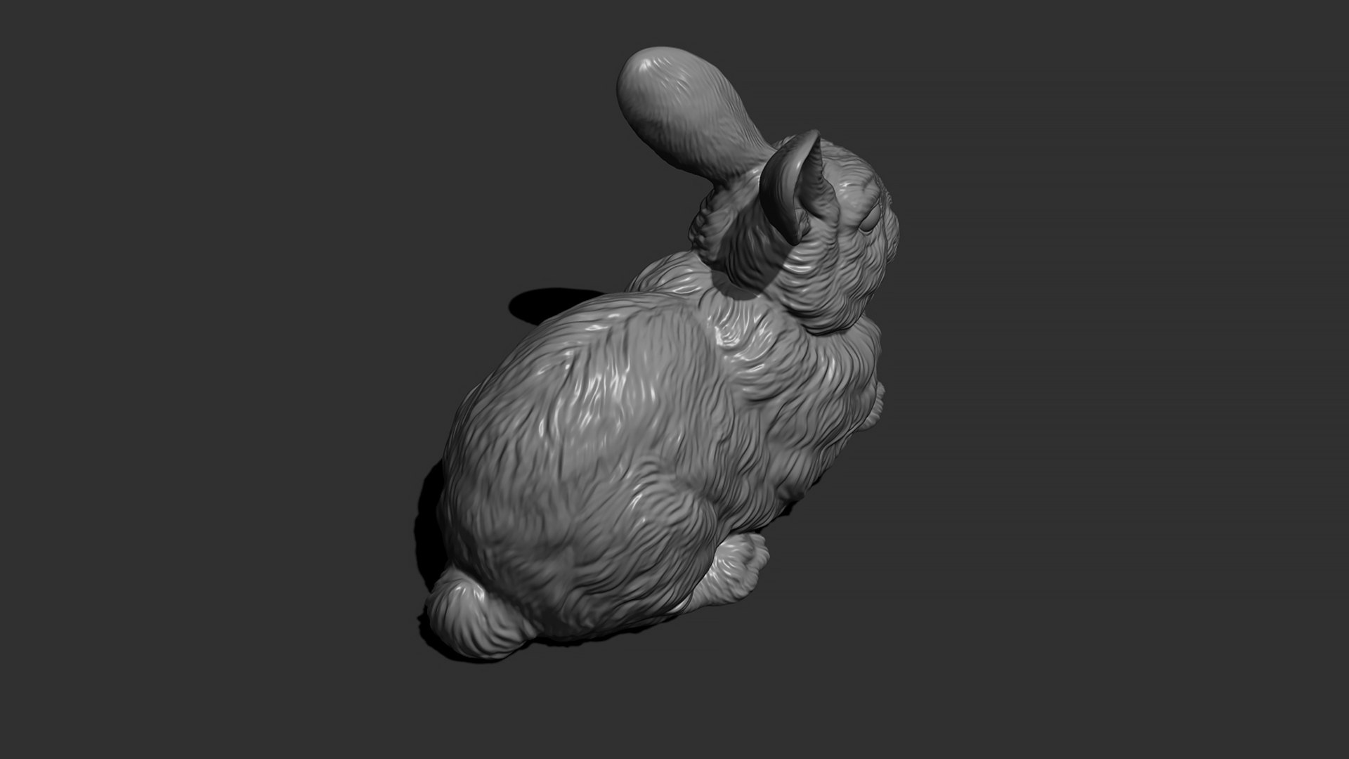 Rabbit Model - TurboSquid 1956305