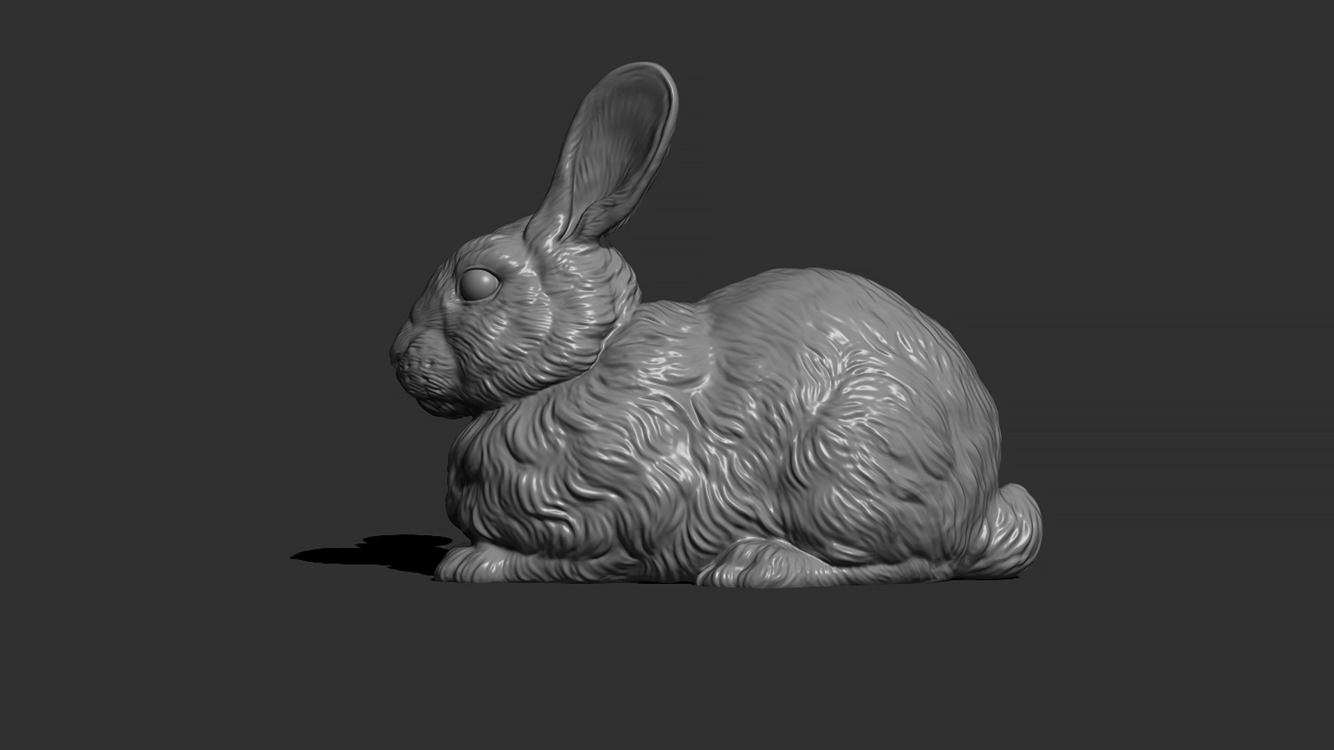 Rabbit Model - TurboSquid 1956305