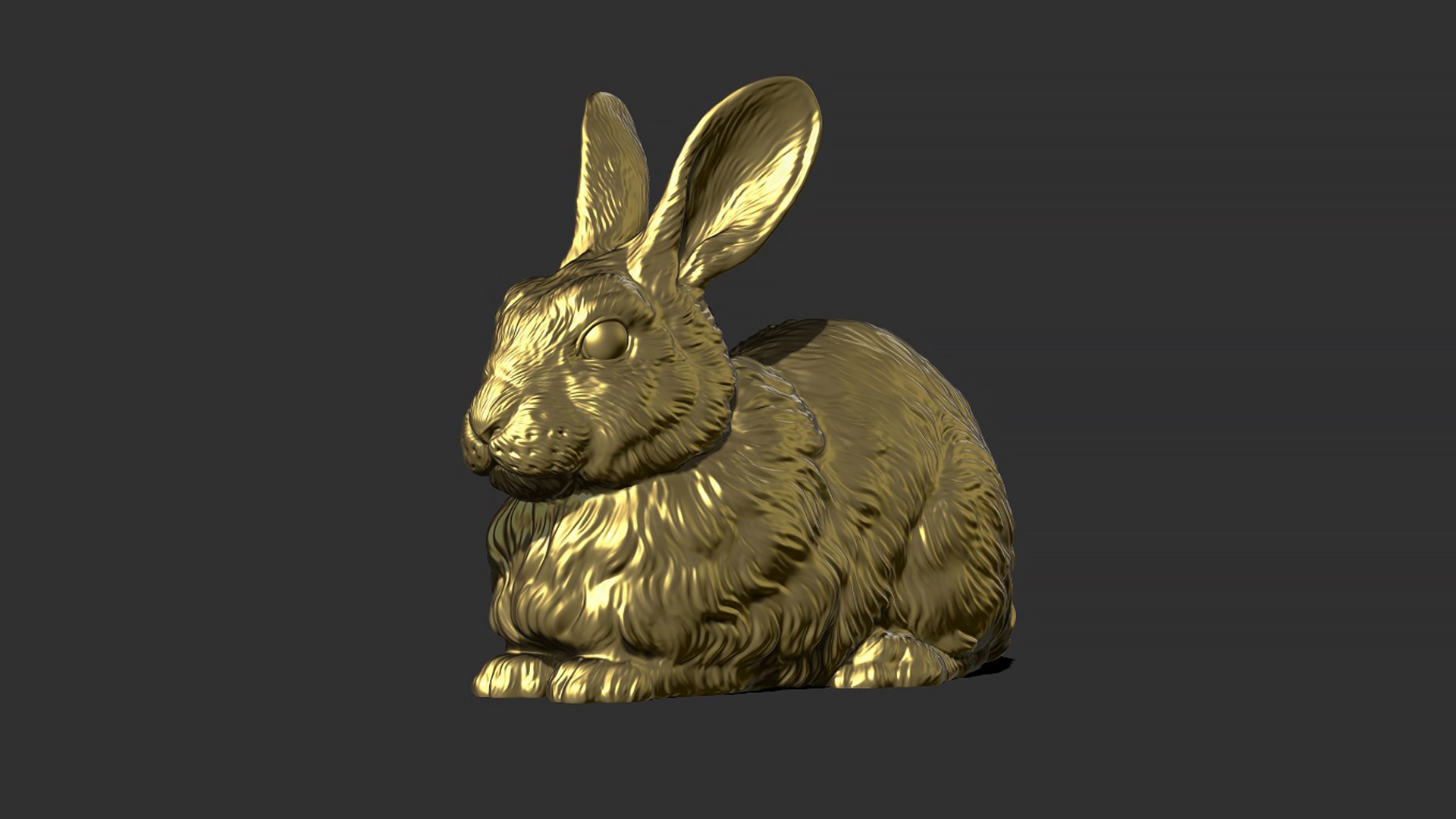 Rabbit Model - TurboSquid 1956305